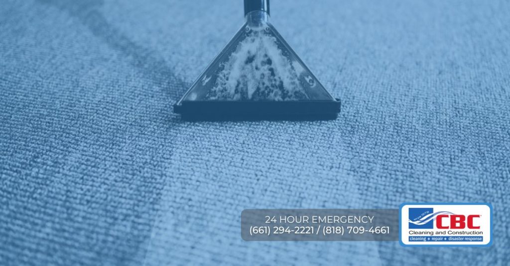 Carpet Cleaning Tips For Spring You Should Know
